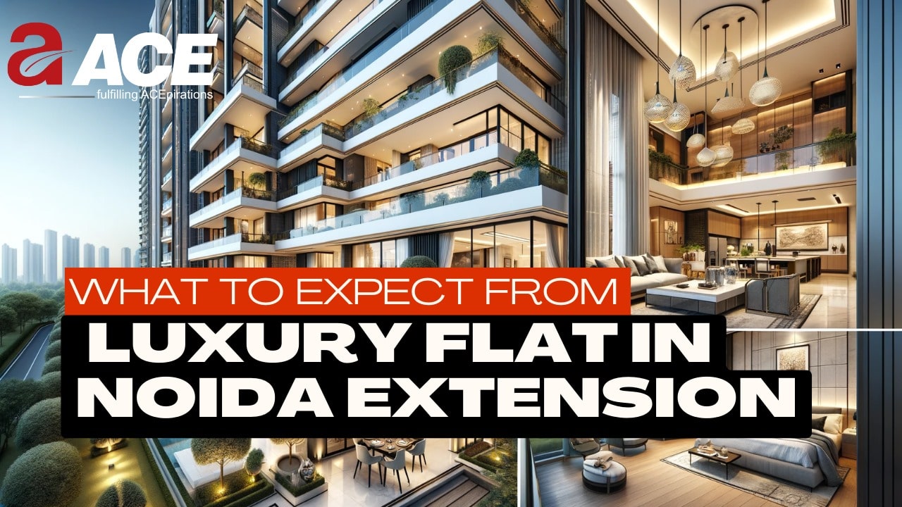 What To Expect From A Luxury Flat in Noida Extension - Blogs